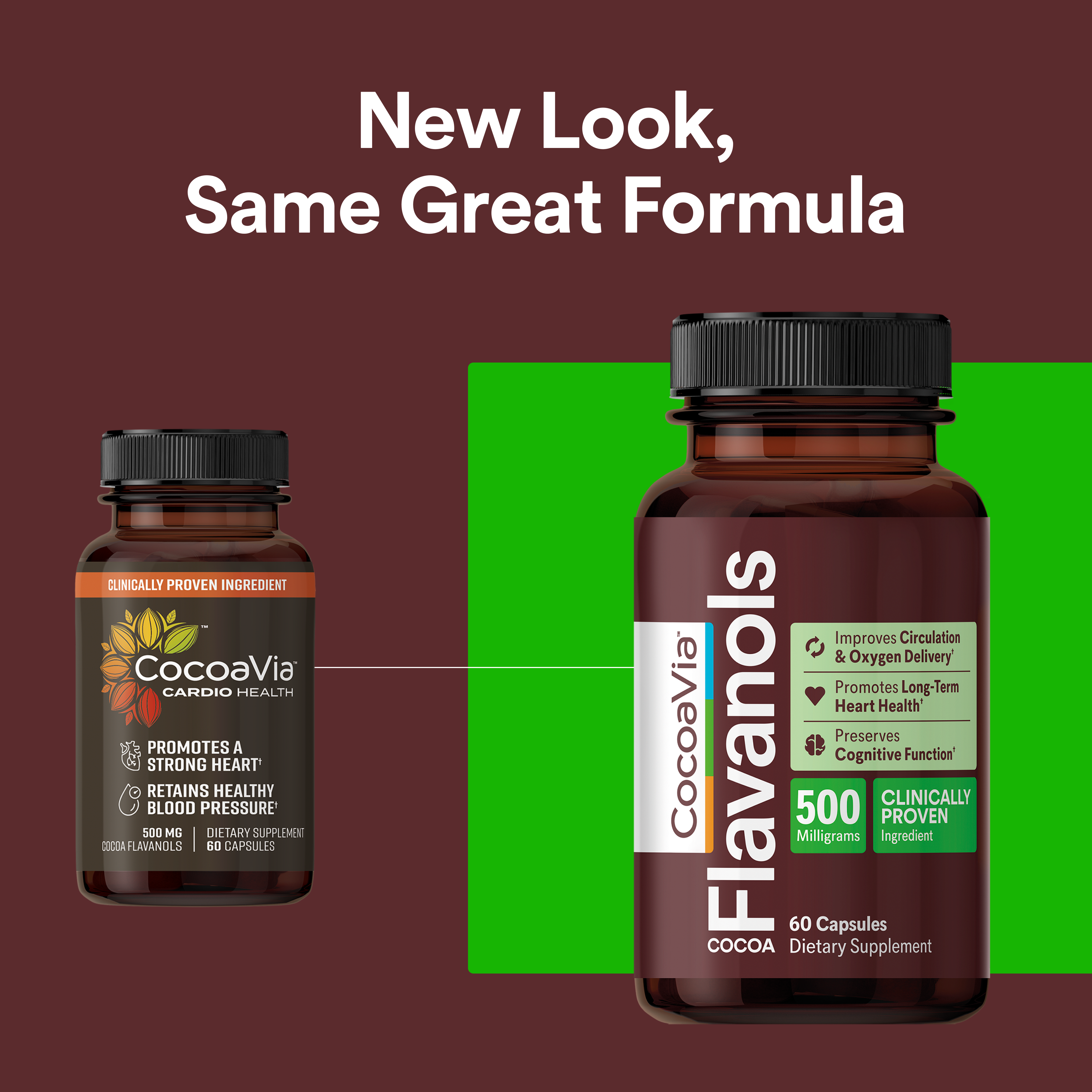 Flavonol Content of Cocoa Powder: A Nutritional Breakdown – CocoaVia
